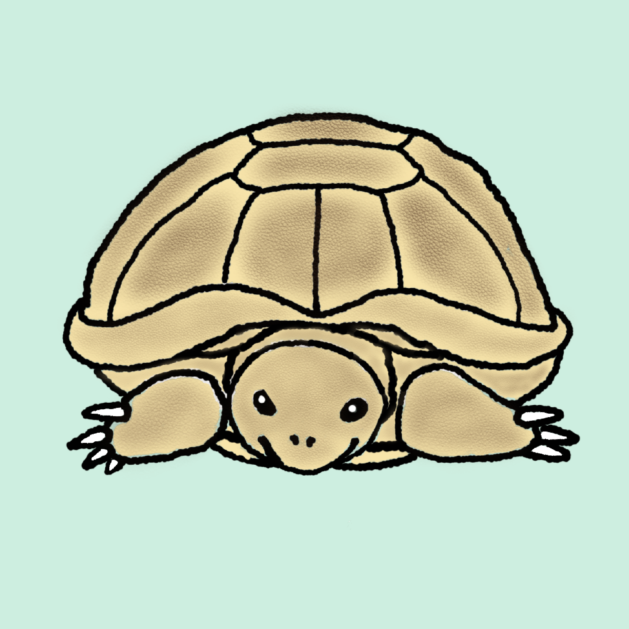 Today I Learned | kmkkiii